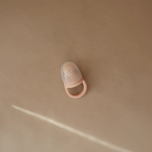 Baby Fresh Food Feeder - Blush – Coco & Bundle